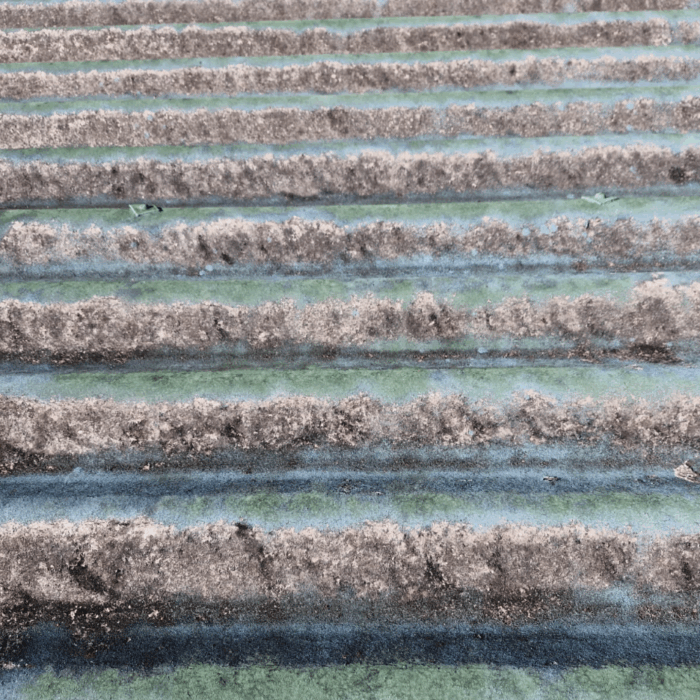 Asbestos in Everyday Materials | How to Identify & Stay Safe